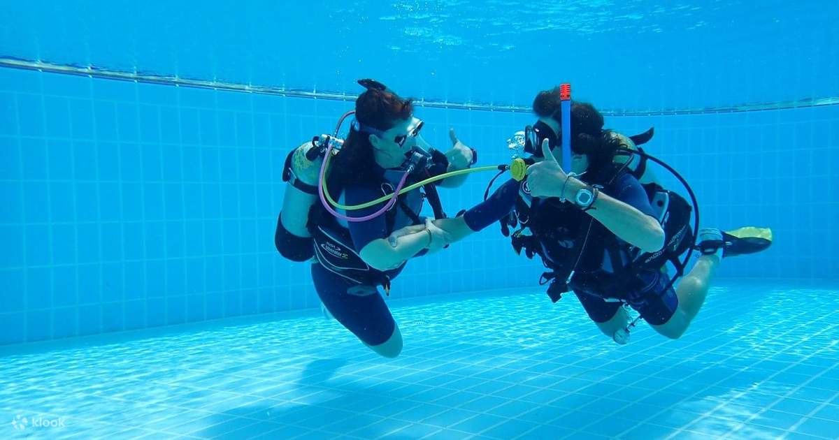 다이빙 스킬 재충전 Padi 5스타 다이브 센터와 함께 모알보알에서 Padi 리액티베이트 리프레셔 클룩 Klook 한국